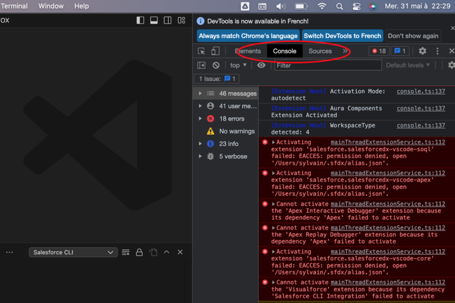 Salesforce Command Sfdx Create Project Resulted In An Error